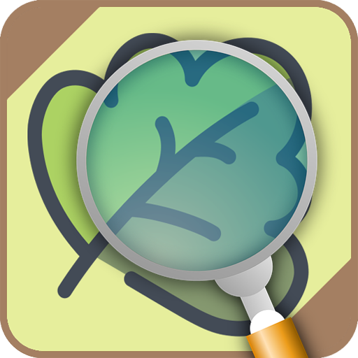 Automatic Identifier of Plants by artificial intelligence ...