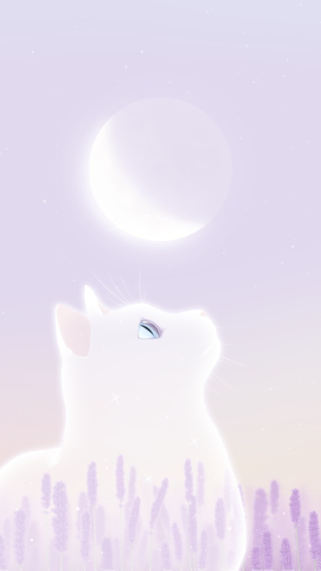 Starlight cat wallpaper - birdtree - Apps on Galaxy Store