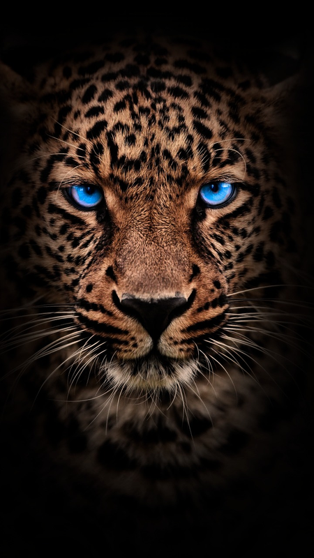 Leopard Dark - Apps on Galaxy Store